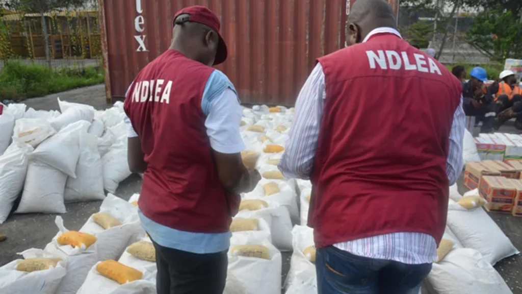 NDLEA Arrests Nearly 78,000 Drug Offenders, Seizes Over 14,800kg Of ...